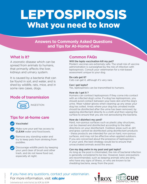 Download the Lepto Fact Sheet