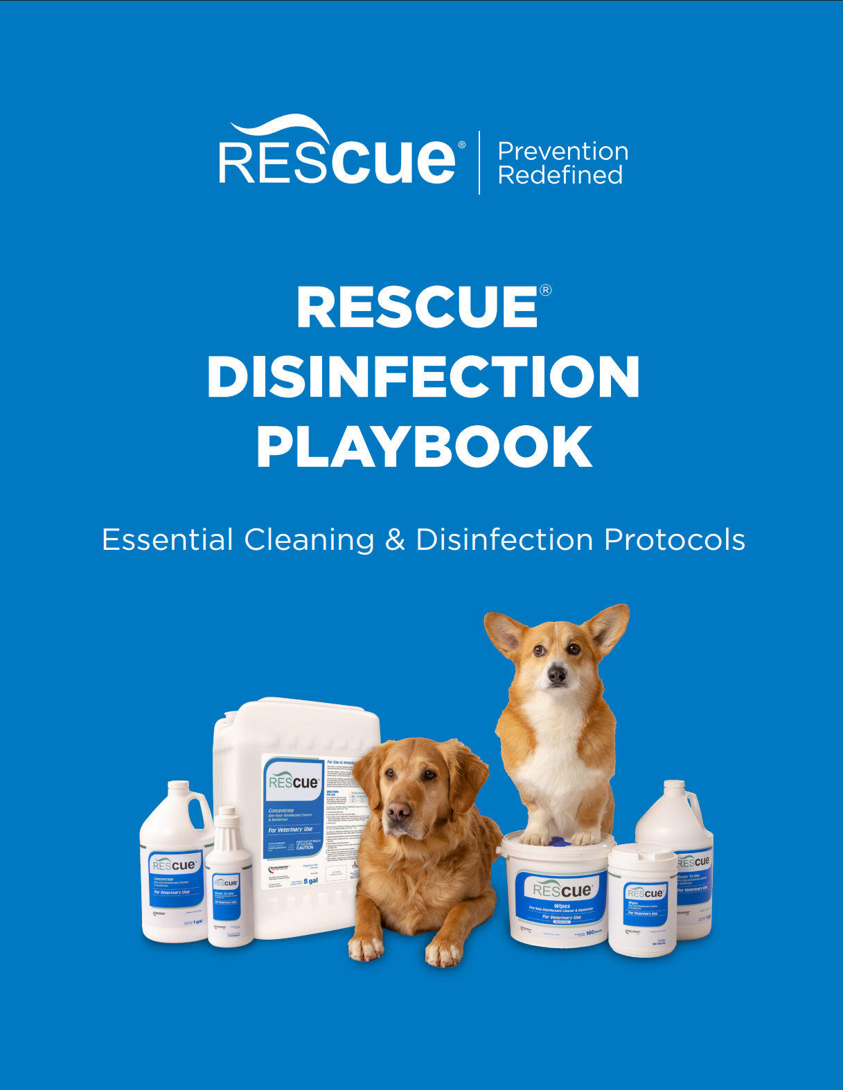 Rescue Disinfection Playbook: Essential Cleaning & Disinfection ...
